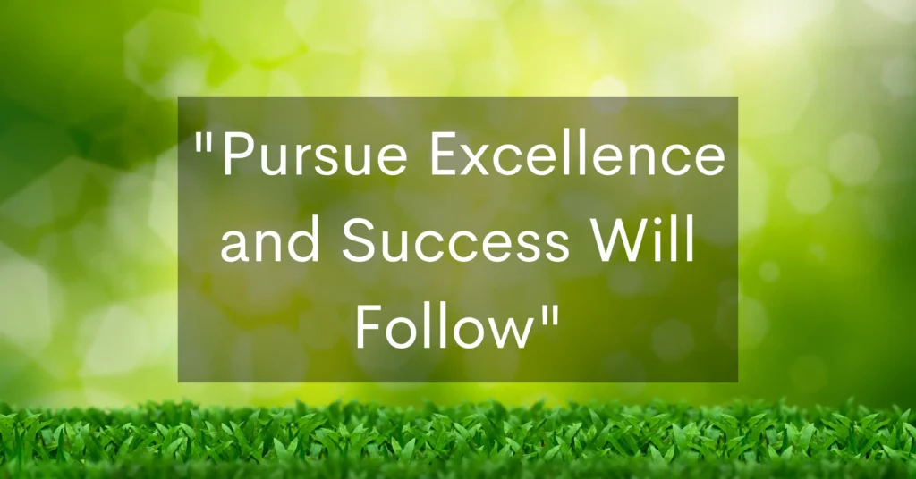 Pursue Excellence and Success Will Follow – Success Minded