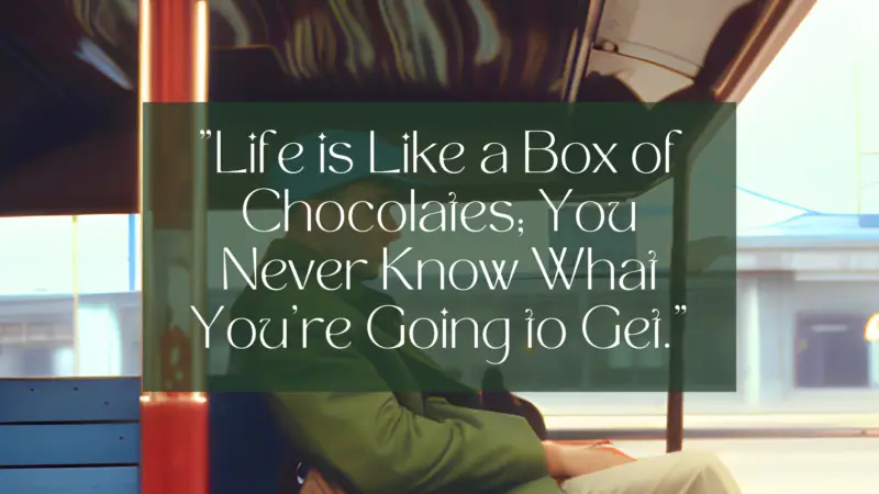 Life is Like a Box of Chocolates; You Never Know What You're Going to ...