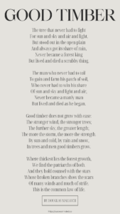 The “Good Timber” Poem by Douglas Malloch – Success Minded