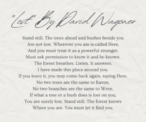 “Lost” – A Poem by David Wagoner – Success Minded