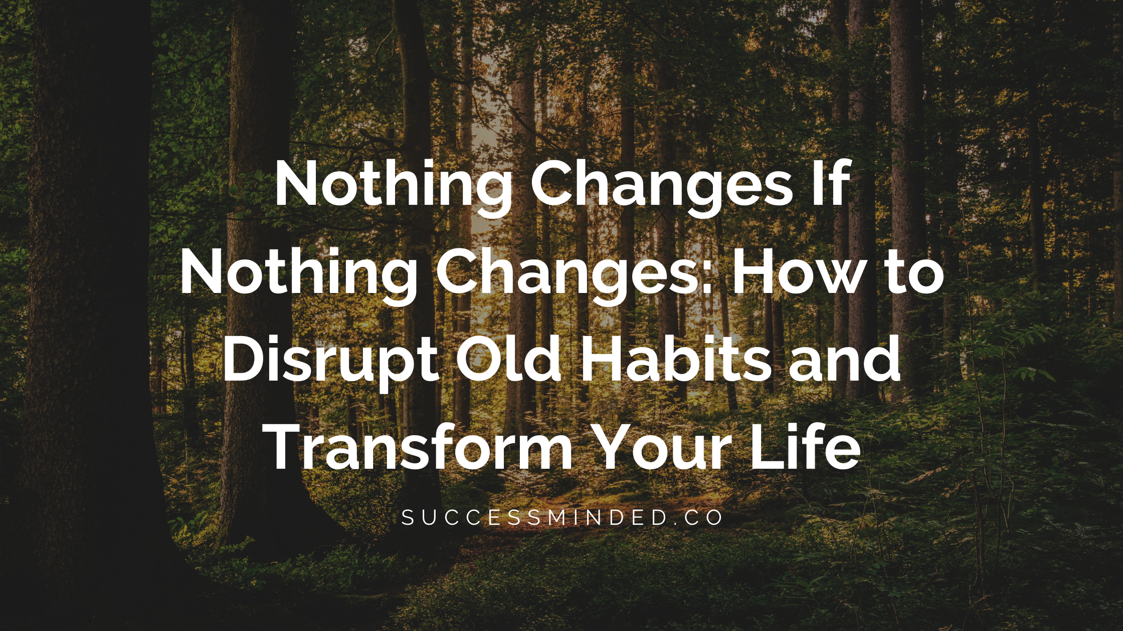 Nothing Changes If Nothing Changes: How to Disrupt Old Habits and ...