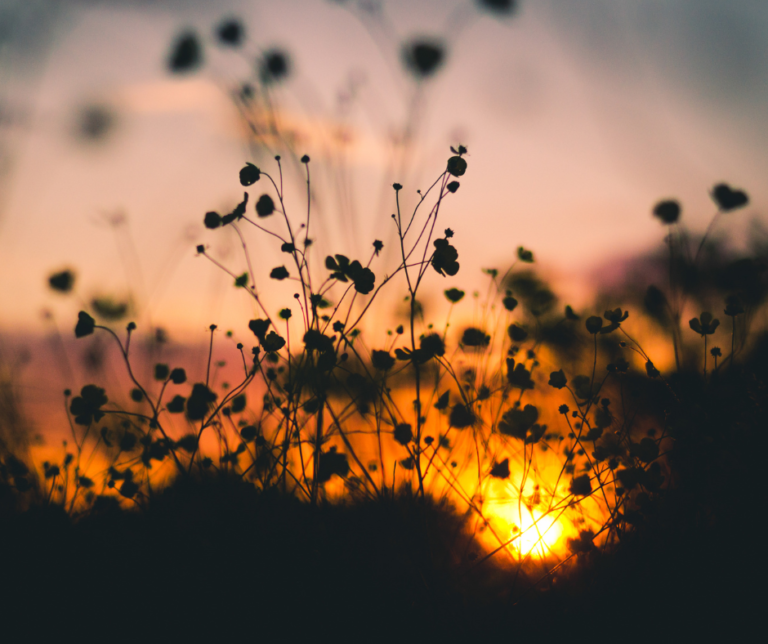 25 Priceless Things Money Can’t Buy – Success Minded