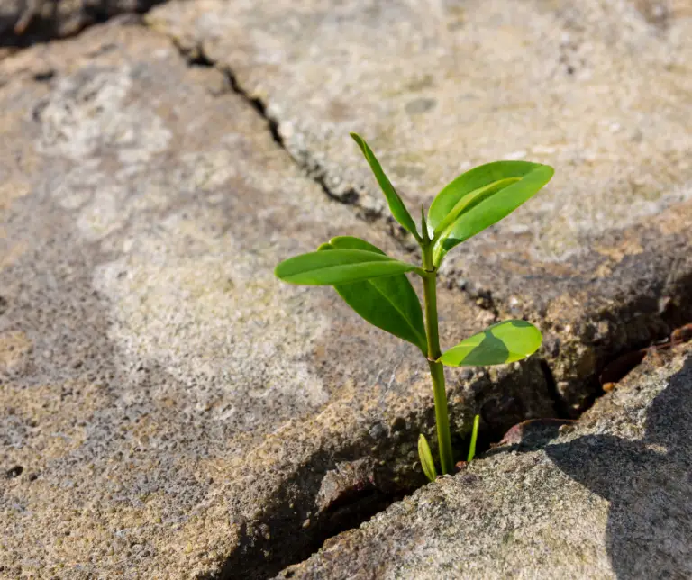 25 Priceless Things Money Can't Buy – Success Minded